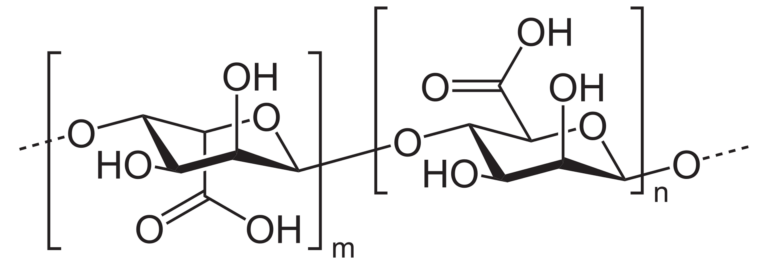 Alginate Applications In The Food Industry - Knowde Periodical